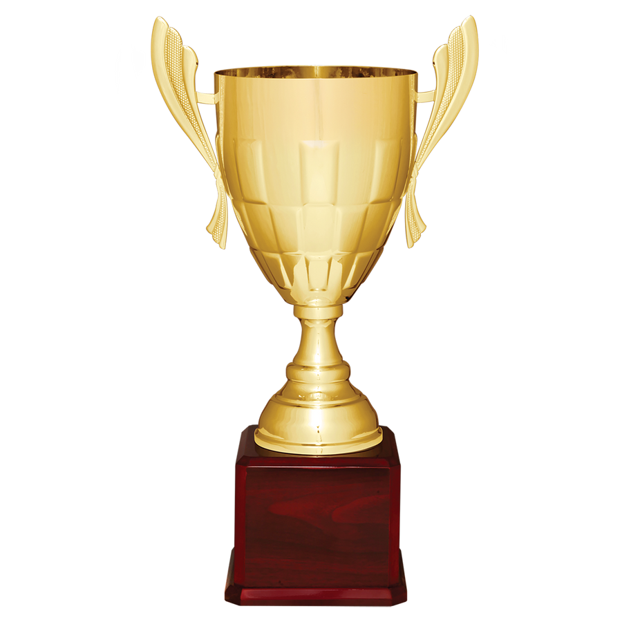 Awards Plus GI – AwardsPlusGI